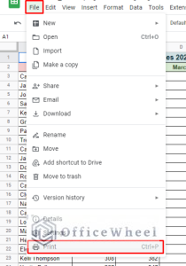 Insert Page Break in Google Sheets (An Easy Guide) - OfficeWheel