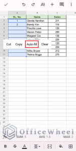 Google Sheets Autofill: Fill Cells Automatically (A Comprehensive Guide ...