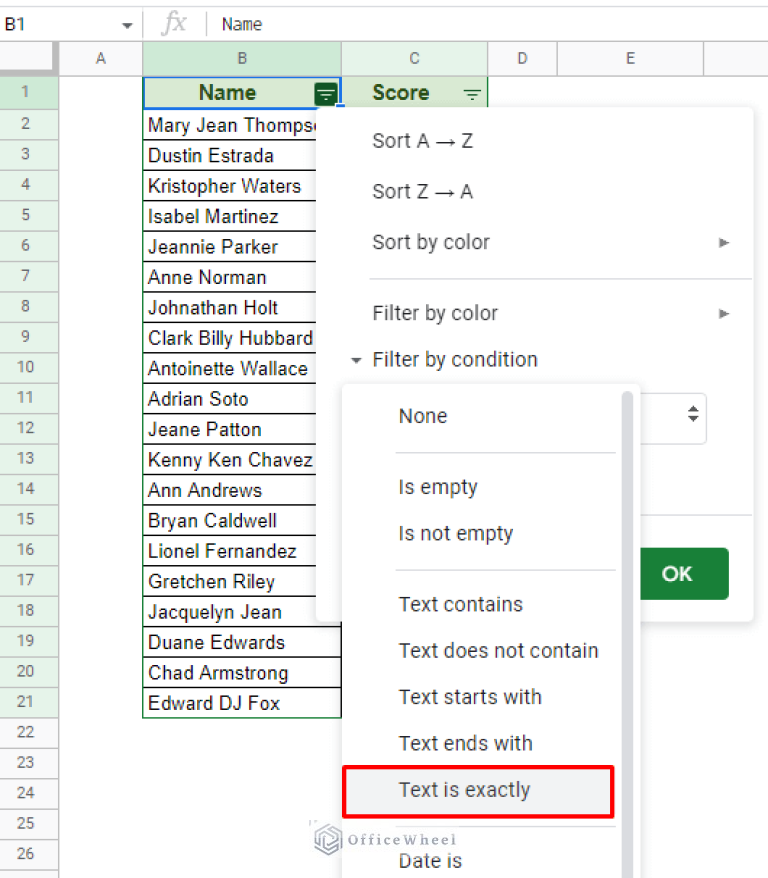 Google Sheets: Filter Data if it Contains Value (A Comprehensive Guide) - OfficeWheel
