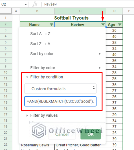 Filter Values that Contains Multiple Text Criteria in Google Sheets (2 Easy Ways)