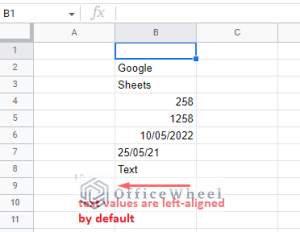 Format Cell as Text in Google Sheets (3 Simple Scenarios) - OfficeWheel