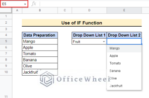 How to Create Conditional Drop Down List in Google Sheets