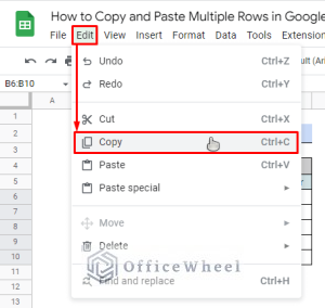 How to Copy and Paste Multiple Rows in Google Sheets (2 Ways)
