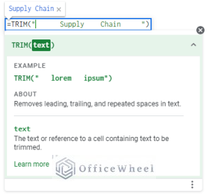 How to Use TRIM Function in Google Sheets (4 Easy Examples)