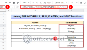 How to Use TRIM Function in Google Sheets (4 Easy Examples)