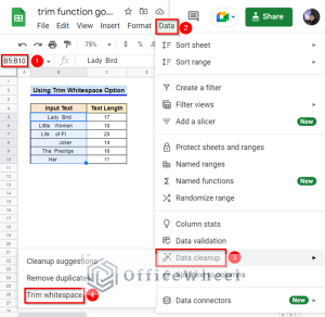 How to Use TRIM Function in Google Sheets (4 Easy Examples)