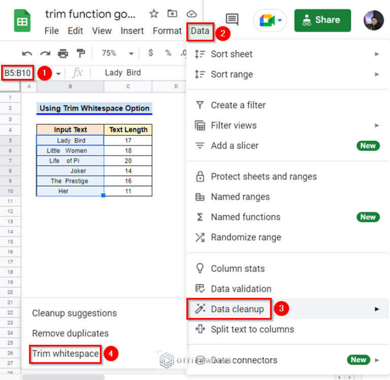 How to Use TRIM Function in Google Sheets (4 Easy Examples)