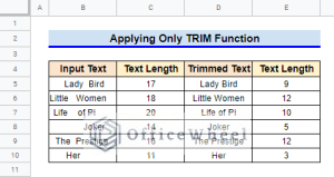 How to Use TRIM Function in Google Sheets (4 Easy Examples)