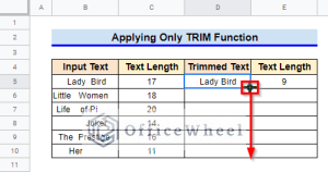 How to Use TRIM Function in Google Sheets (4 Easy Examples)