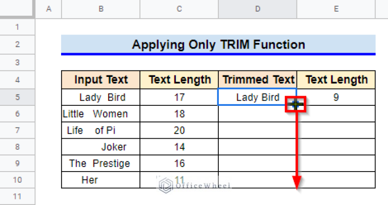 How to Use TRIM Function in Google Sheets (4 Easy Examples)