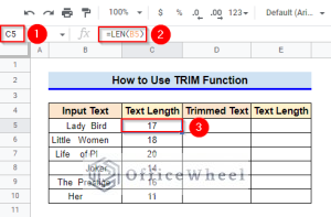 How to Use TRIM Function in Google Sheets (4 Easy Examples)