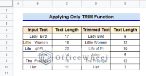 How to Use TRIM Function in Google Sheets (4 Easy Examples)
