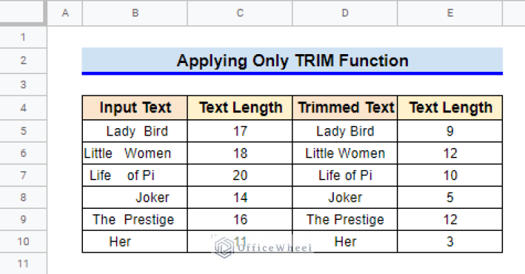 How to Use TRIM Function in Google Sheets (4 Easy Examples)