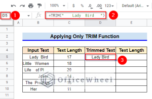 How to Use TRIM Function in Google Sheets (4 Easy Examples)
