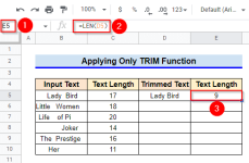 How to Use TRIM Function in Google Sheets (4 Easy Examples)