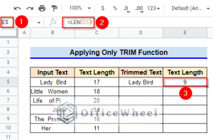How to Use TRIM Function in Google Sheets (4 Easy Examples)