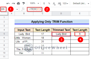 How to Use TRIM Function in Google Sheets (4 Easy Examples)