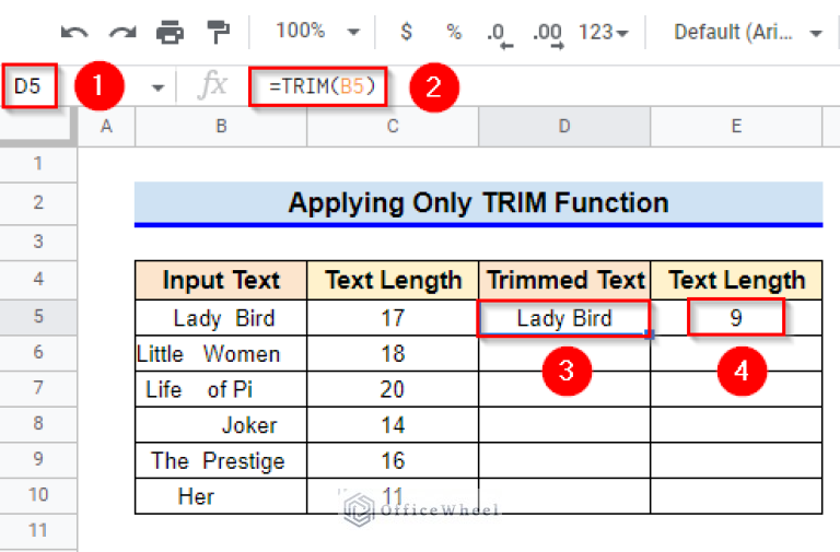 How to Use TRIM Function in Google Sheets (4 Easy Examples)