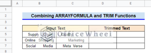 How to Use TRIM Function in Google Sheets (4 Easy Examples)