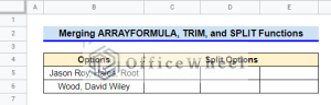 How to Use TRIM Function in Google Sheets (4 Easy Examples)