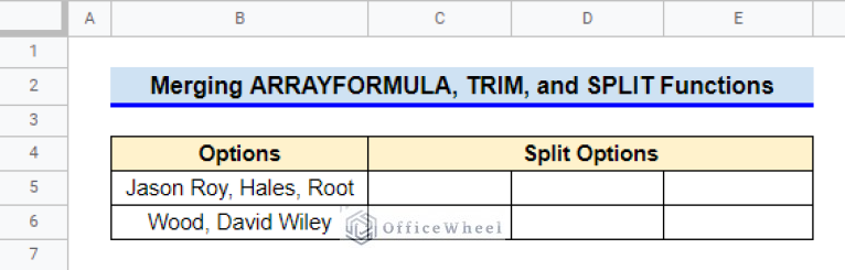 How to Use TRIM Function in Google Sheets (4 Easy Examples)