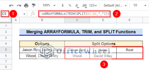 How to Use TRIM Function in Google Sheets (4 Easy Examples)