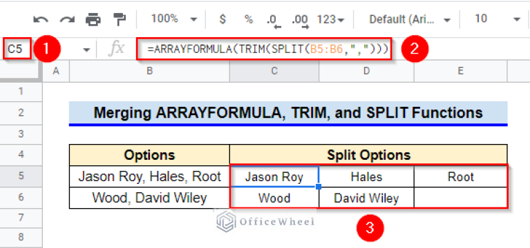 How to Use TRIM Function in Google Sheets (4 Easy Examples)