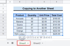 How to Copy and Paste a Table from Google Sheets (6 Examples)