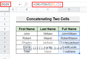 How to Use CONCATENATE Function in Google Sheets