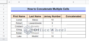 How to Concatenate Multiple Cells in Google Sheets (11 Examples)