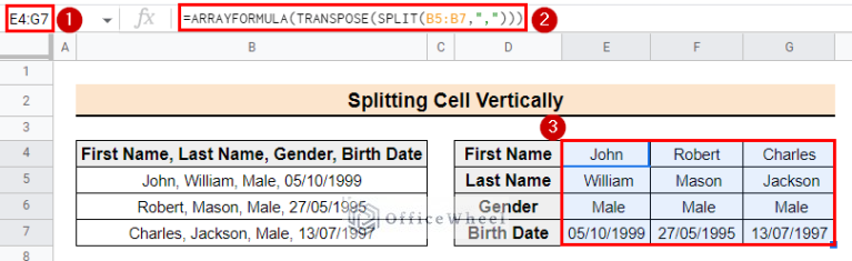 How to Split Cell by Comma in Google Sheets (2 Easy Methods)