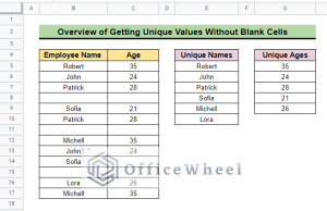 How to Get Unique Values Without Blanks in Google Sheets
