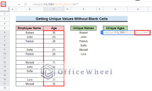 How to Get Unique Values Without Blanks in Google Sheets