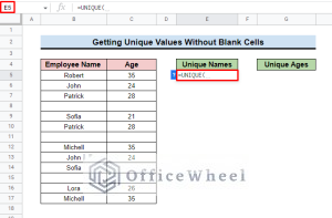 How to Get Unique Values Without Blanks in Google Sheets