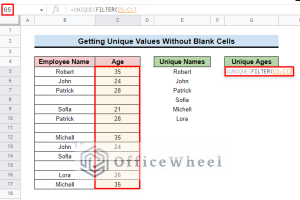 How to Get Unique Values Without Blanks in Google Sheets