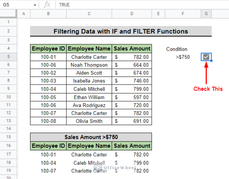 How to Filter with Checkboxes in Google Sheets (4 Ideal Examples)