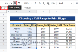 How to Print Bigger in Google Sheets (2 Simple Examples)