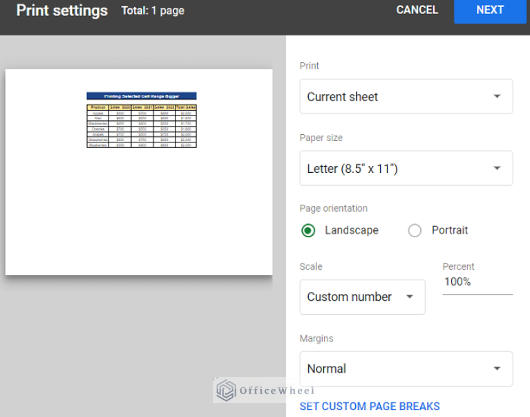 How to Print Bigger in Google Sheets (2 Simple Examples)