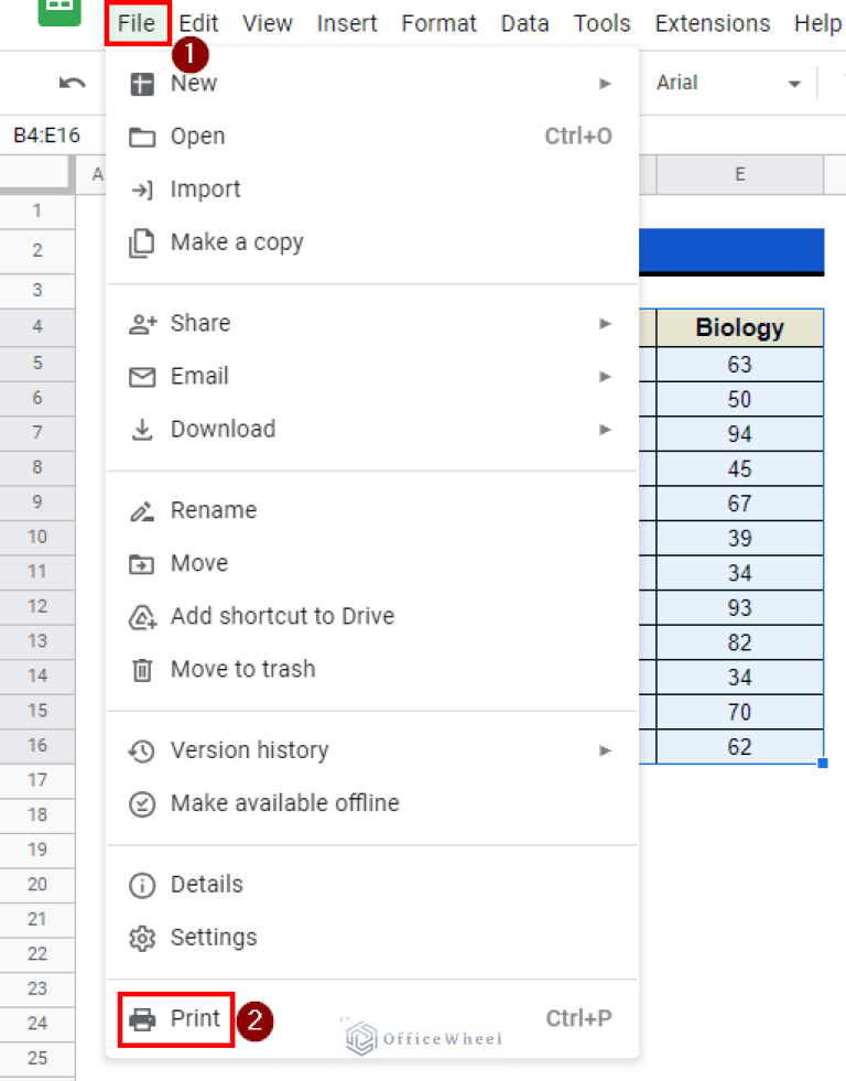 How to Print Preview in Google Sheets (2 Easy Examples)