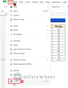 How to Print Preview in Google Sheets (2 Easy Examples)