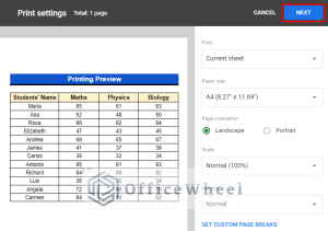 How to Print Preview in Google Sheets (2 Easy Examples)