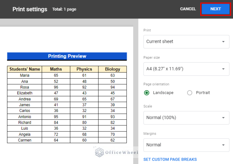 How to Print Preview in Google Sheets (2 Easy Examples)