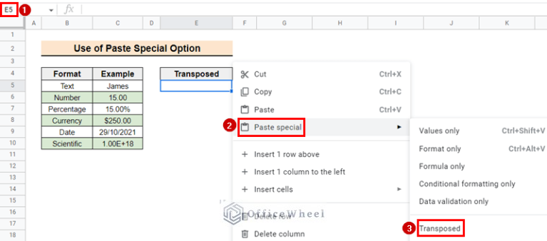 How to Use Paste Special Shortcut in Google Sheets (2 Examples)