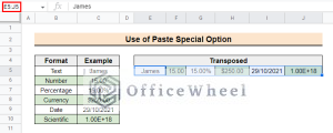 How to Use Paste Special Shortcut in Google Sheets (2 Examples)
