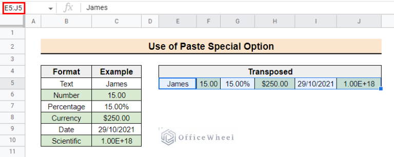 How to Use Paste Special Shortcut in Google Sheets (2 Examples)