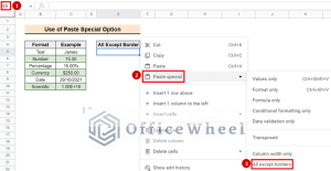 How to Use Paste Special Shortcut in Google Sheets (2 Examples)